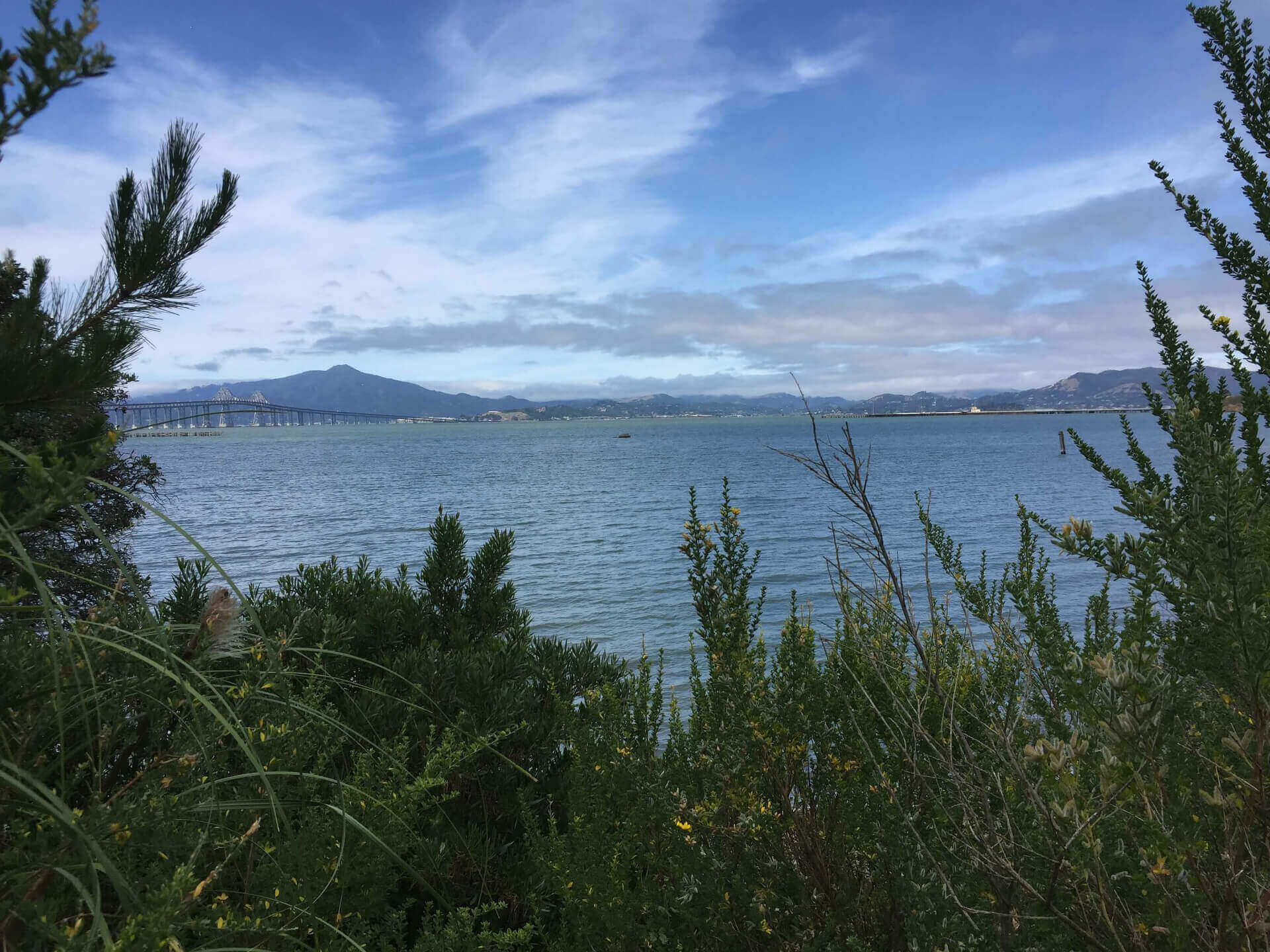 Home - Citizens for East Shore Parks - Preserving the East Bay Shoreline