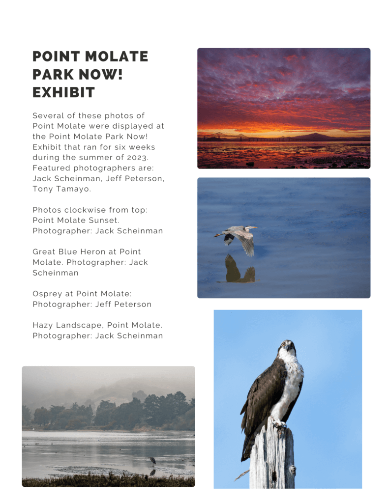 View stunning photographs of Point Molate by local photographers ...